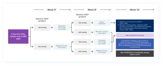Dosing and initiation of CAMZYOS (mavacamten)